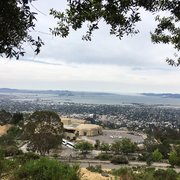 Berkeley Fire Trails - 235 Photos & 99 Reviews - Parks - Centennial Dr ...