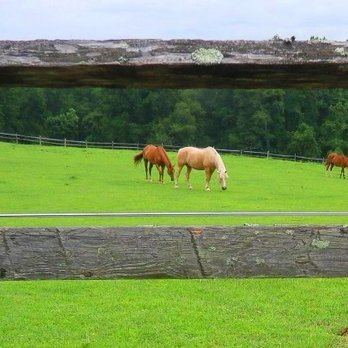 Hidden Valley Farm - 35 Photos - Horseback Riding - 535 Gradyville Rd ...