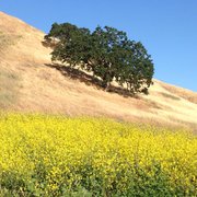 Shell Ridge Open Space - 109 Photos & 40 Reviews - Hiking - 1035 Castle ...