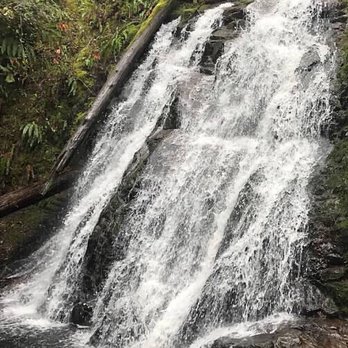 Dickerson Creek Waterfall - 16 Photos - Hiking - Leber Ln NW, Bremerton ...