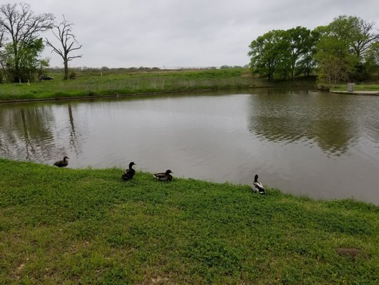 Snook, TX Map & Directions - MapQuest