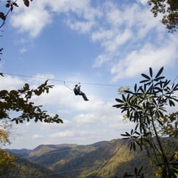 The Gorge Zipline - 51 Photos & 39 Reviews - Ziplining - 166 Honey Bee ...