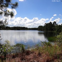 Halpatiokee Regional Park - 55 Photos & 14 Reviews - Hiking - 7645 SE ...