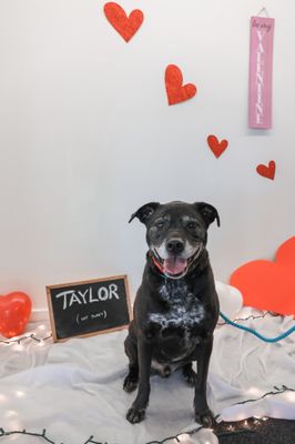 Homerville, OH Map & Directions - MapQuest