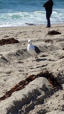 Pera Club 1 E Continental Dr Tempe, AZ Recreation Centers - MapQuest